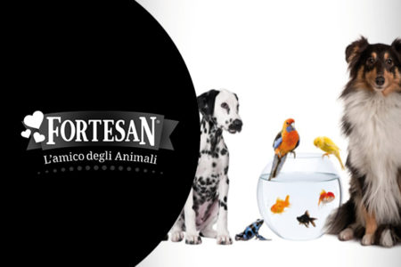 Case Studies – Porini